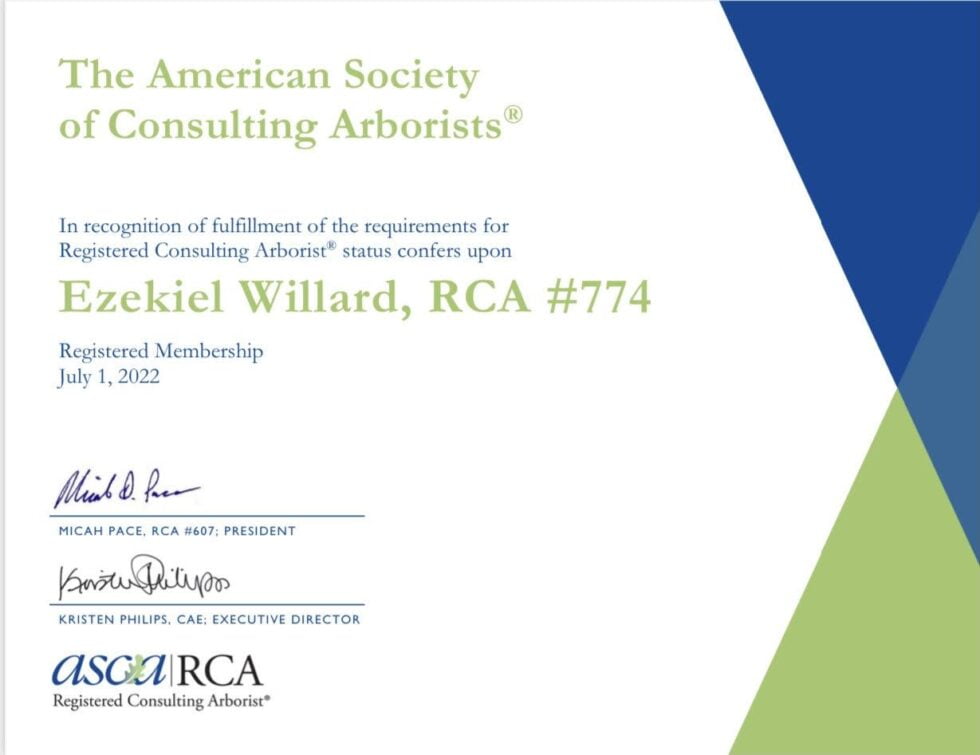 Idaho Tree Service - Idaho Tree Preservation