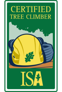 Idaho Tree Preservation - Boise & Treasure Valley Tree Services